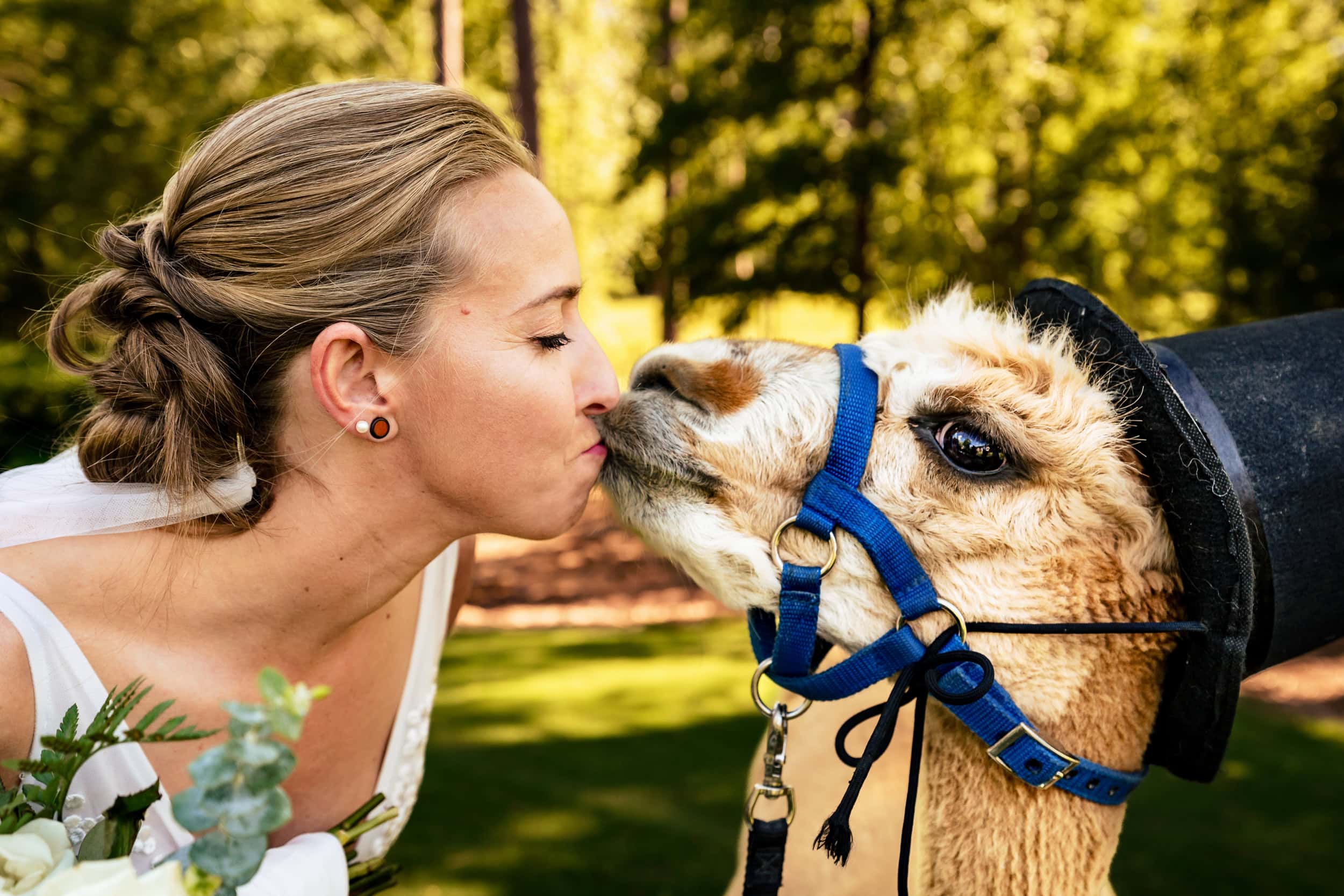 Venue Guide - Kivus & Camera